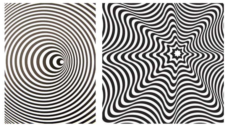 Op Art Bridget Riley Lesson
