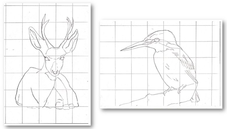 For Grid Drawing With Measurements