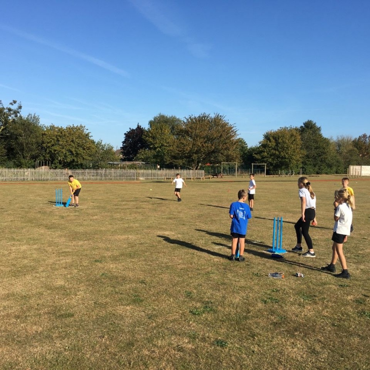 Willingham Primary School - Cricket Fever!!